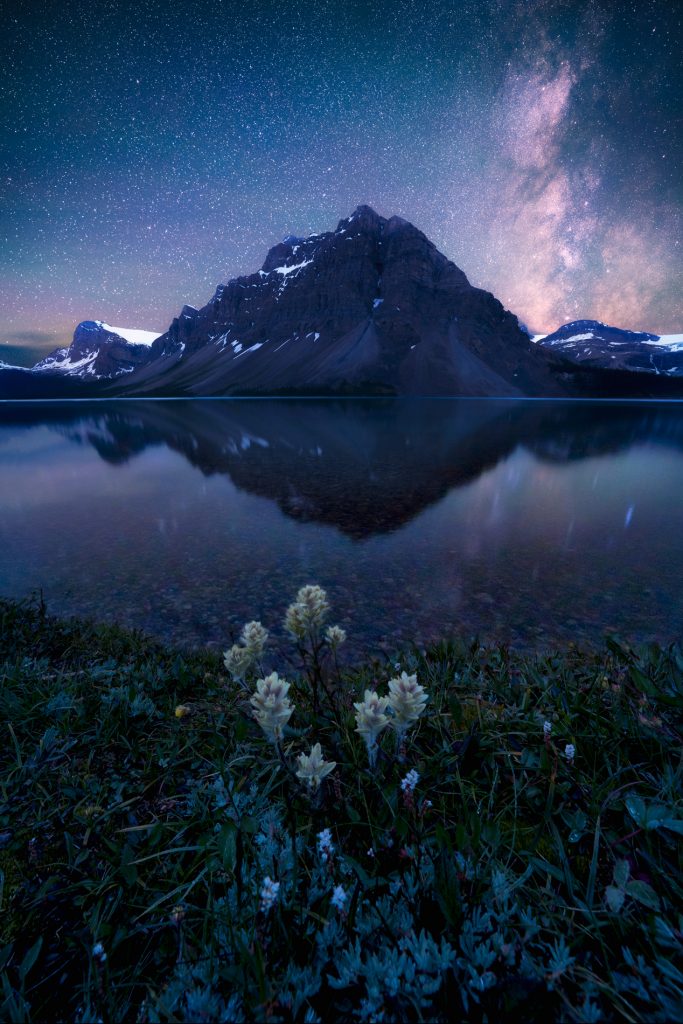 Bow-Milky-Way-Flowers - Astralis Photography